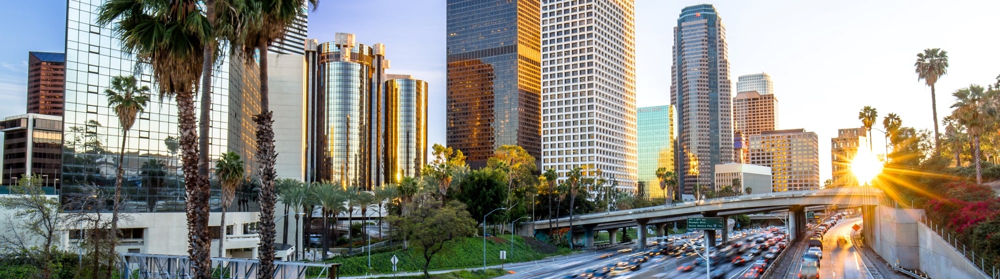 Laundry Delivery Service Areas in Los Angeles, CA | Rosie Wash and Fold